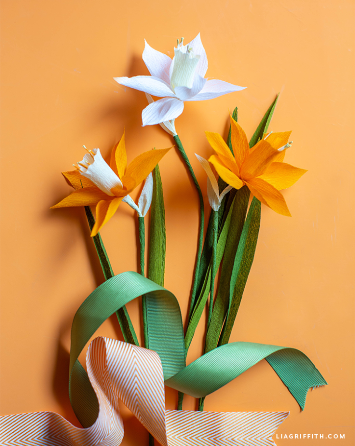Video Tutorial: Crepe Paper Daffodil Flower Kit - Lia Griffith