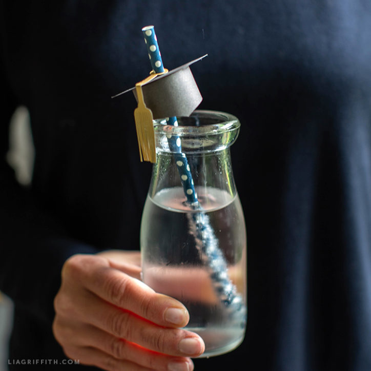 Graduation Party Straw Toppers - Lia Griffith