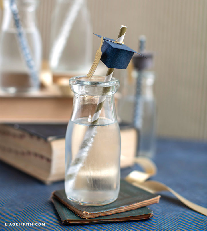 Graduation Party Straw Toppers - Lia Griffith