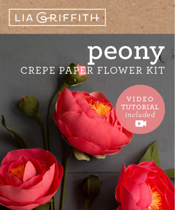 Crepe Paper Flower Kits - Lia Griffith