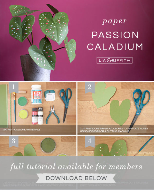 Paper Passion Caladium Plant DIY Tutorial - Lia Griffith