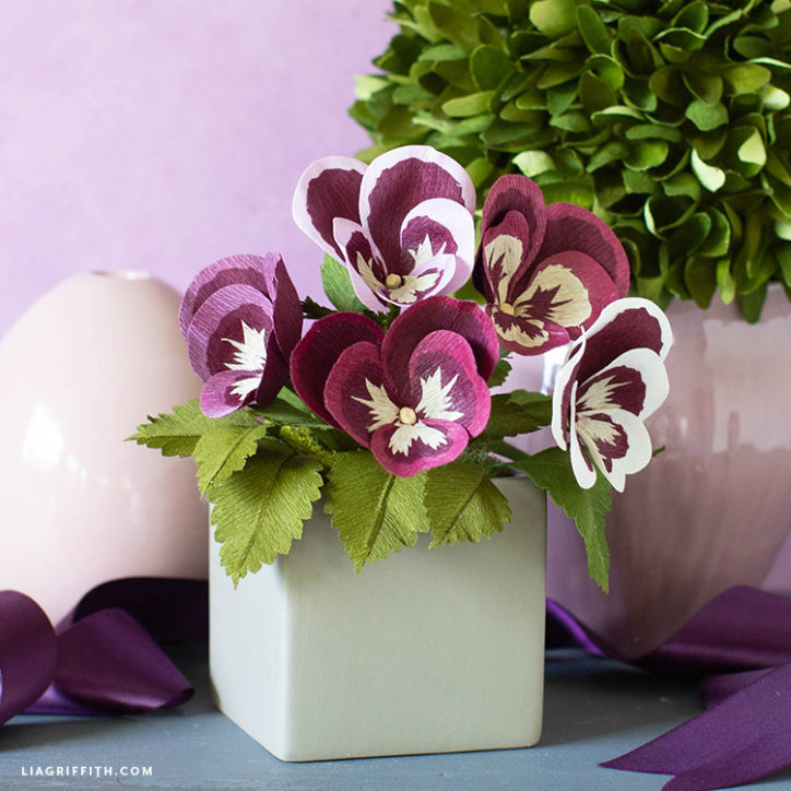 Crepe Paper Pansies: Flower Template & Tutorial - Lia Griffith