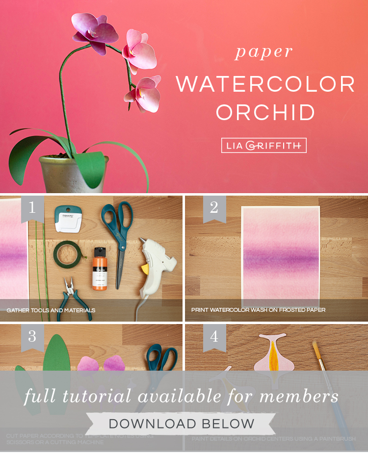 Printed Paper Phalaenopsis Orchid with Watercolor Wash