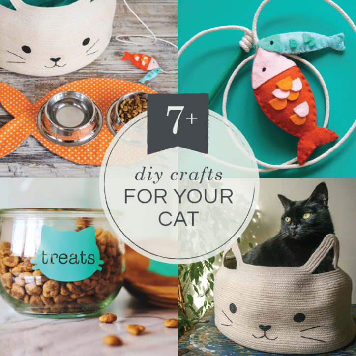 7+ DIY Cat Projects - Lia Griffith