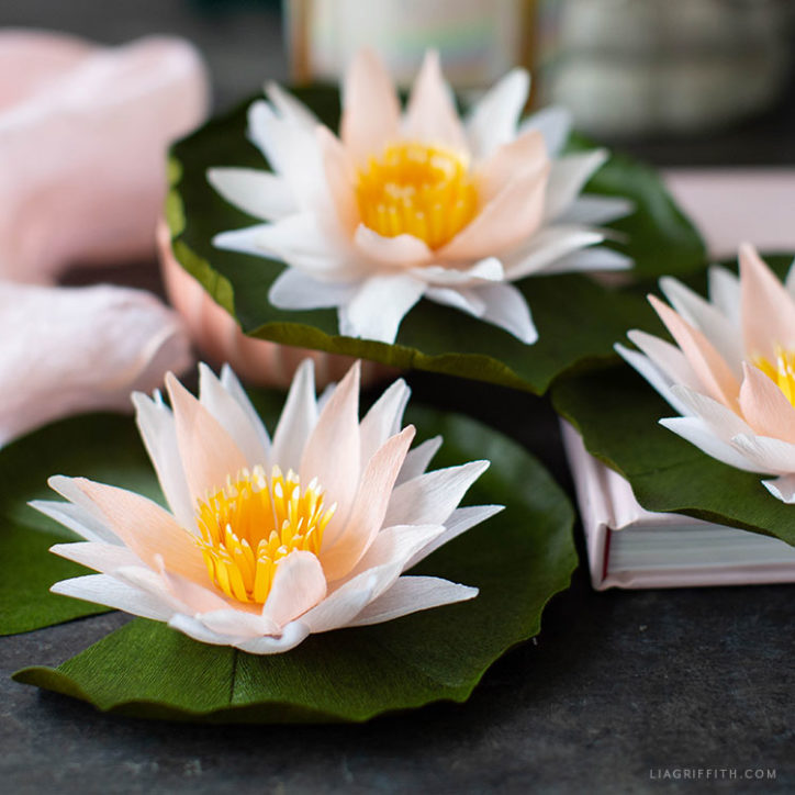 Crepe Paper Water Lily - Member Make Workshop - Lia Griffith