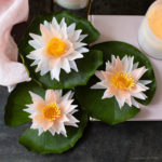Crepe Paper Water Lily - Member Make Workshop - Lia Griffith