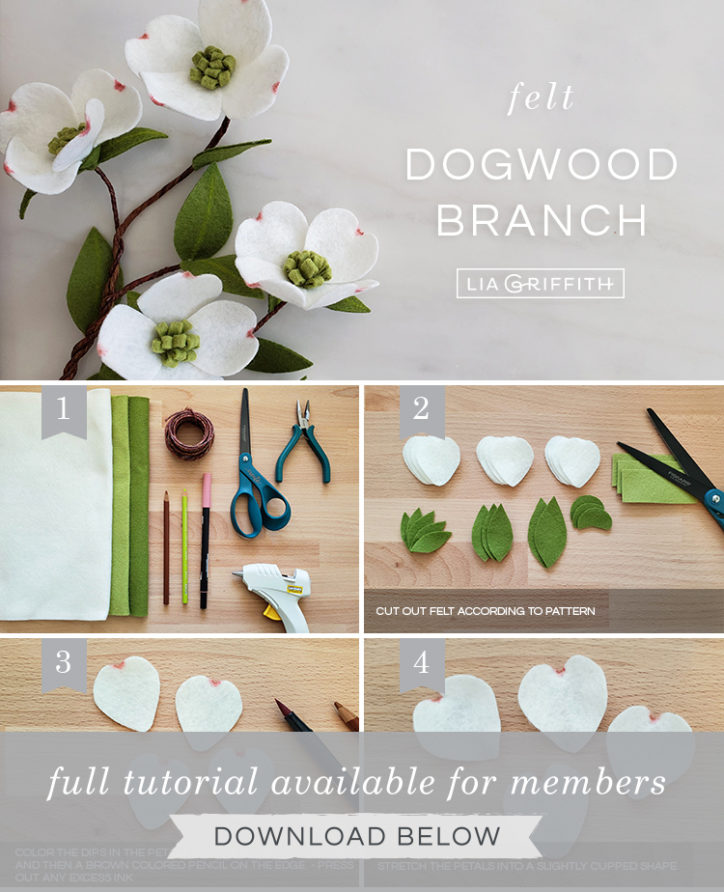 Felt Dogwood Branches DIY Template & Tutorial - Lia Griffith