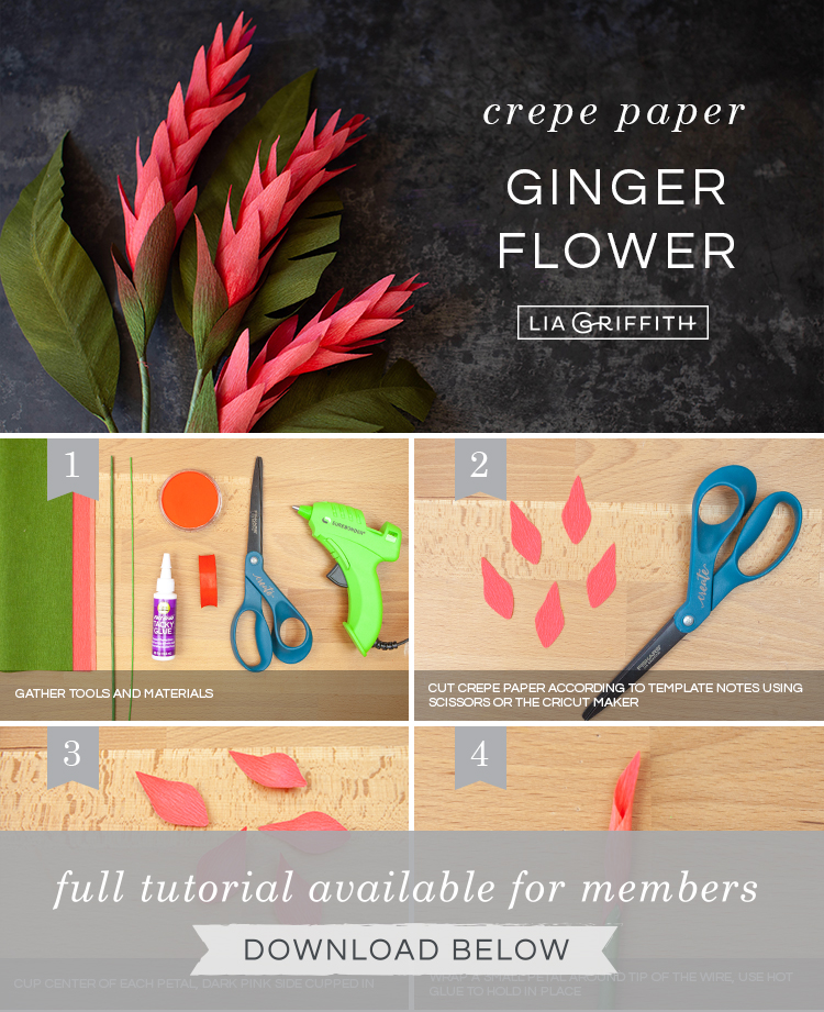 Crepe Paper Ginger Flower DIY Tutorial - Lia Griffith