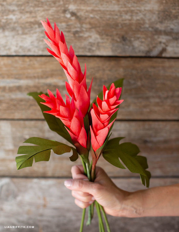 Crepe Paper Ginger Flower DIY Tutorial - Lia Griffith
