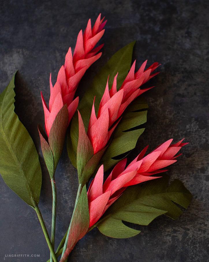 Crepe Paper Ginger Flower DIY Tutorial - Lia Griffith