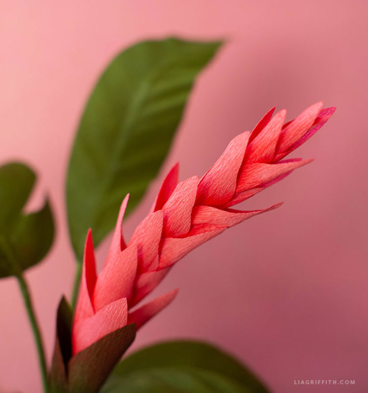 Crepe Paper Ginger Flower DIY Tutorial - Lia Griffith
