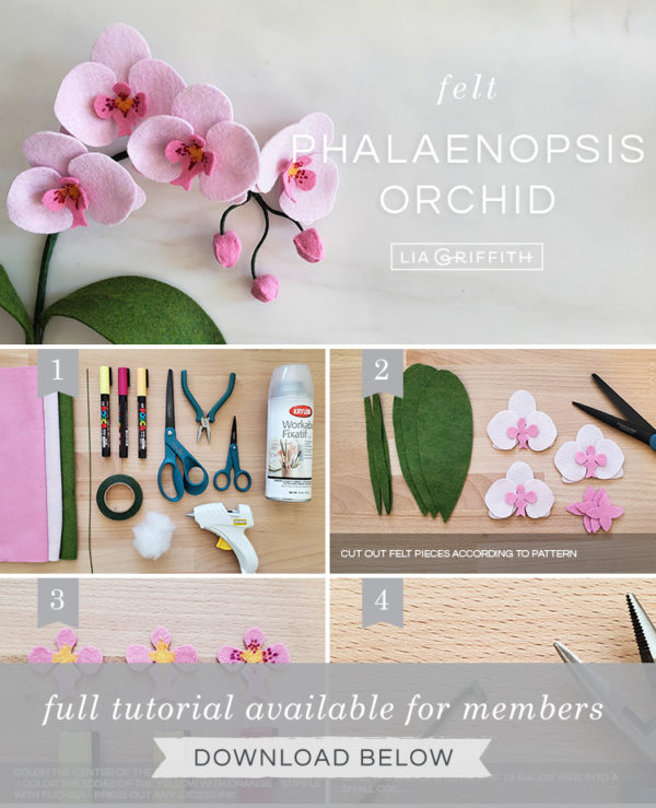 Learn How to Craft Your Own Felt Orchid Plant - Lia Griffith