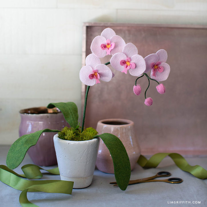 Learn How to Craft Your Own Felt Orchid Plant - Lia Griffith
