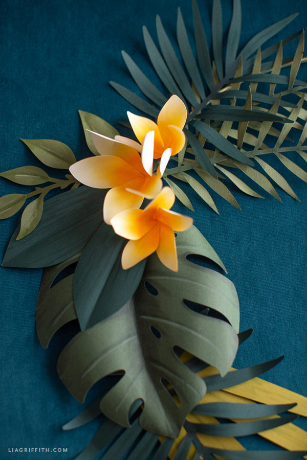 Handmade Tropical Flowers: Paper Plumerias - Lia Griffith