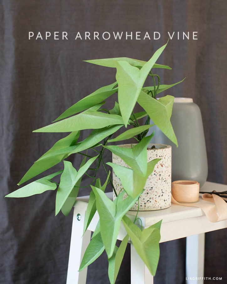Paper Arrowhead Vine DIY Template & Tutorial - Lia Griffith