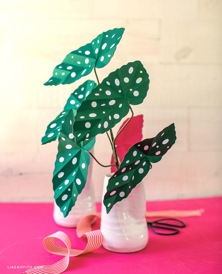 How to Make a Begonia Maculata Plant out of Paper - Lia Griffith