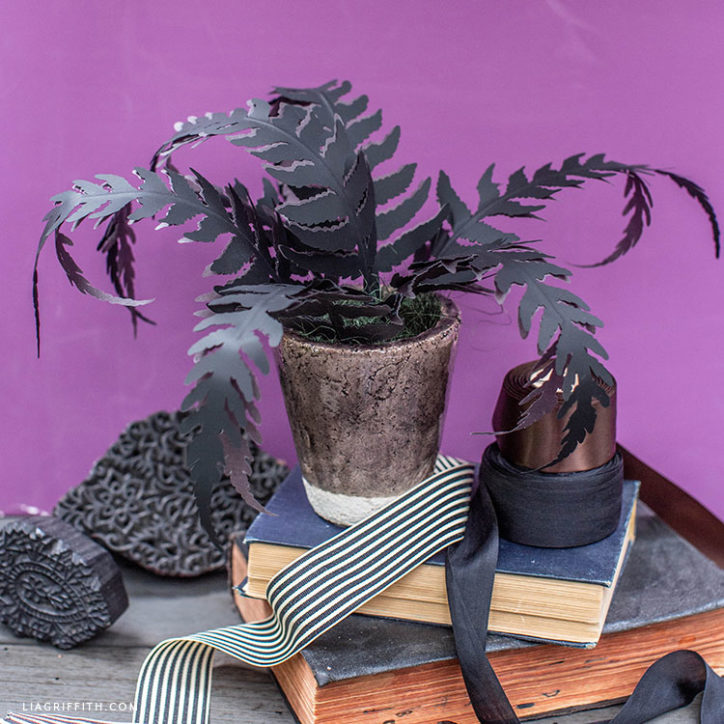 How to Make a Black Paper Fern for Halloween - Lia Griffith