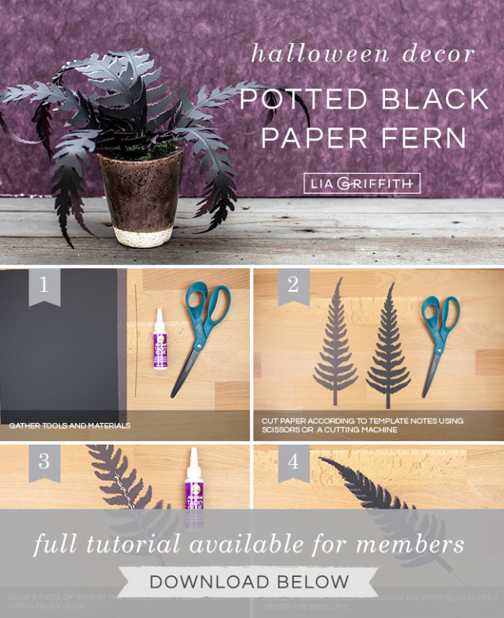 How to Make a Black Paper Fern for Halloween - Lia Griffith