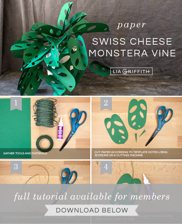 Paper Swiss Cheese Plant DIY Tutorial - Lia Griffith
