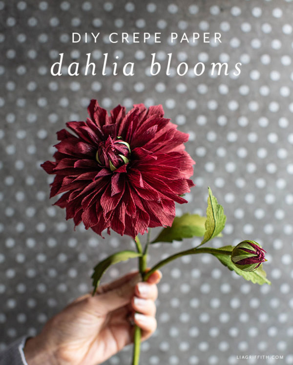 October Member Make: Crepe Paper Dahlia Flower - Lia Griffith