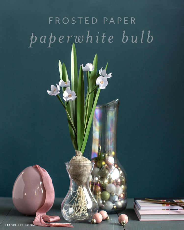 Frosted Paper Paperwhites with Crepe Paper Bulb - Lia Griffith