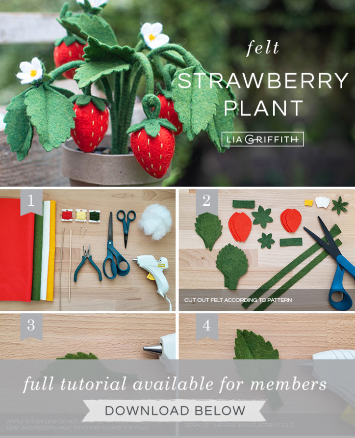 Felt Strawberry Plant DIY Tutorial - Lia Griffith