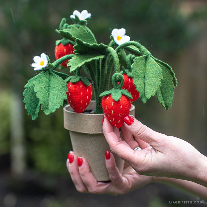 Felt Strawberry Plant DIY Tutorial - Lia Griffith
