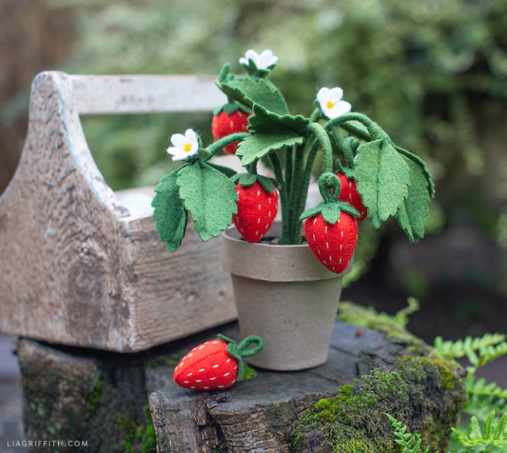 Felt Strawberry Plant DIY Tutorial - Lia Griffith