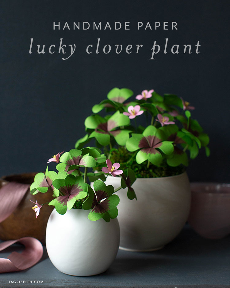 Make a Paper Lucky Clover Plant for St. Patrick's Day - Lia Griffith