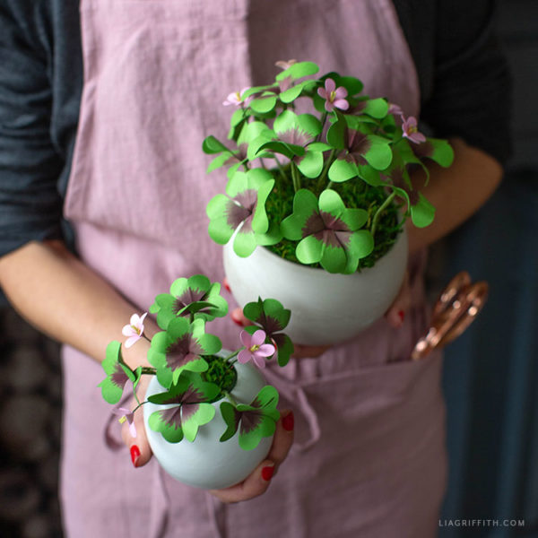 Make a Paper Lucky Clover Plant for St. Patrick's Day - Lia Griffith