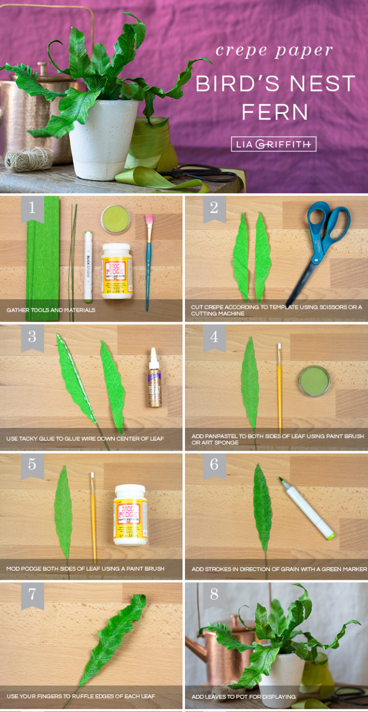 Crepe Paper Bird's Nest Fern Tutorial - Lia Griffith