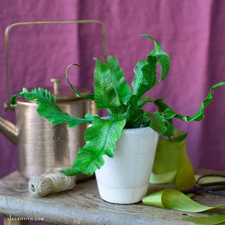 Crepe Paper Bird's Nest Fern Template & Tutorial - Lia Griffith
