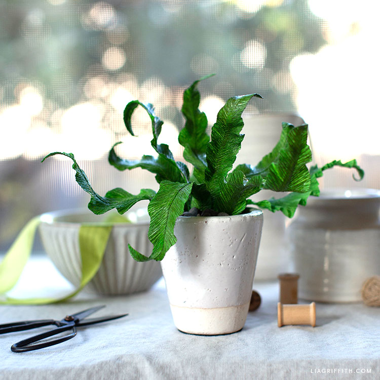 Crepe Paper Bird's Nest Fern Template & Tutorial - Lia Griffith