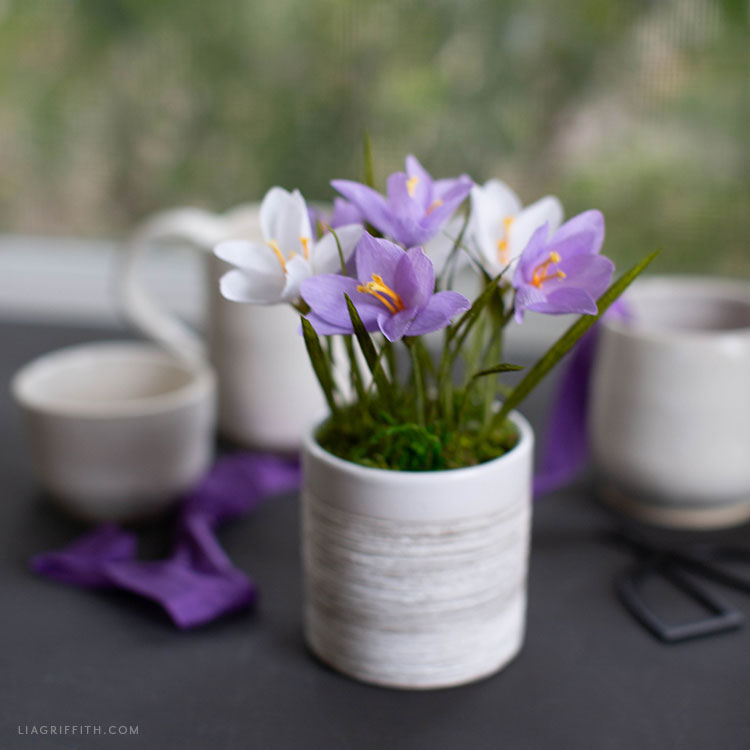Crepe Paper Crocus Plant - Lia Griffith