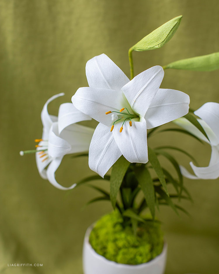 VIDEO: Crepe Paper Easter Lily - Lia Griffith