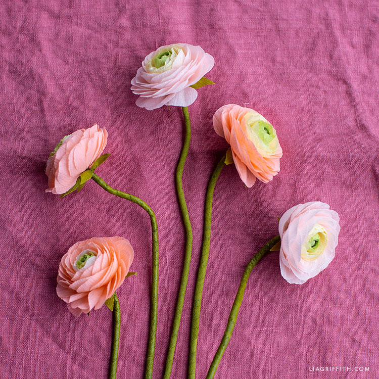 Crepe Paper Peachy Watermelon Ranunculus - Lia Griffith