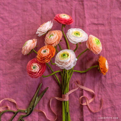 Crepe Paper Peachy Watermelon Ranunculus - Lia Griffith