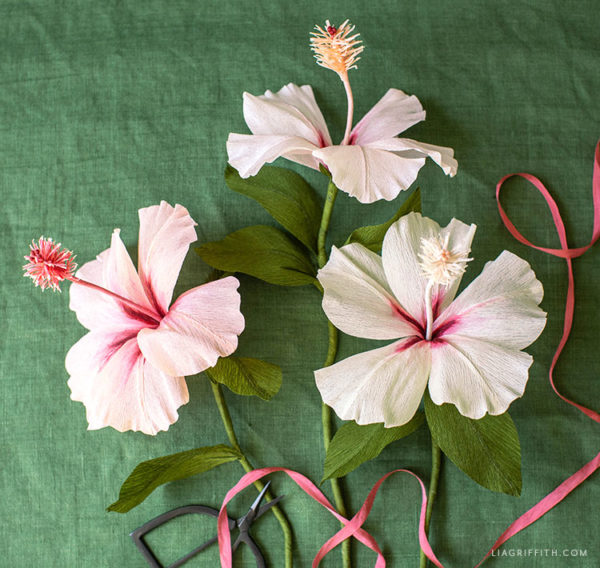 May Member Make: Crepe Paper Hibiscus Flowers - Lia Griffith