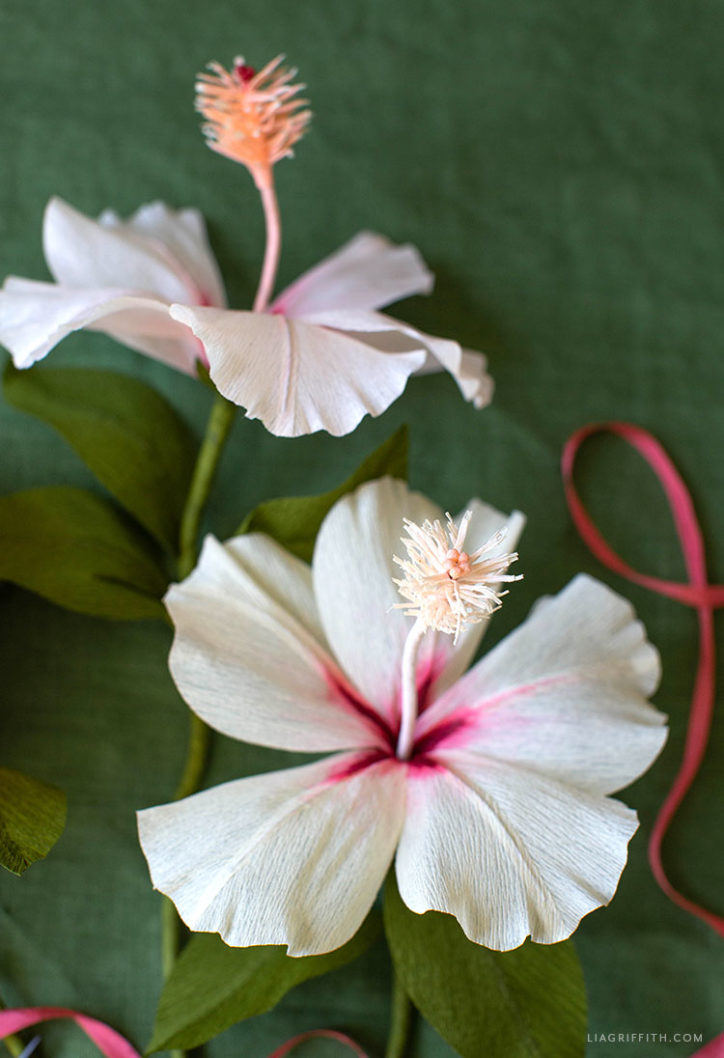 May Member Make: Crepe Paper Hibiscus Flowers - Lia Griffith