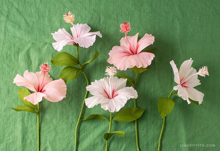 May Member Make: Crepe Paper Hibiscus Flowers - Lia Griffith