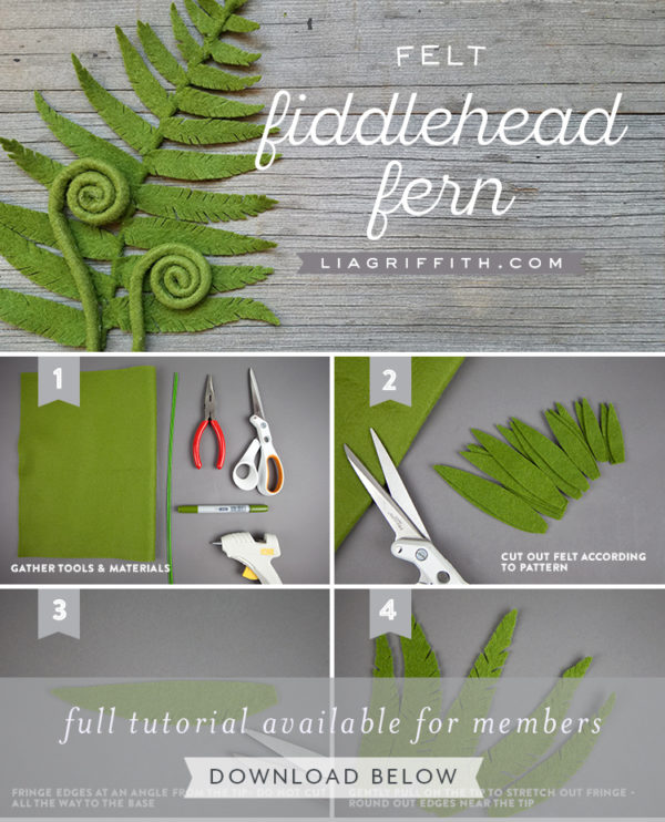 Felt Ferns and Fiddle Heads - Lia Griffith