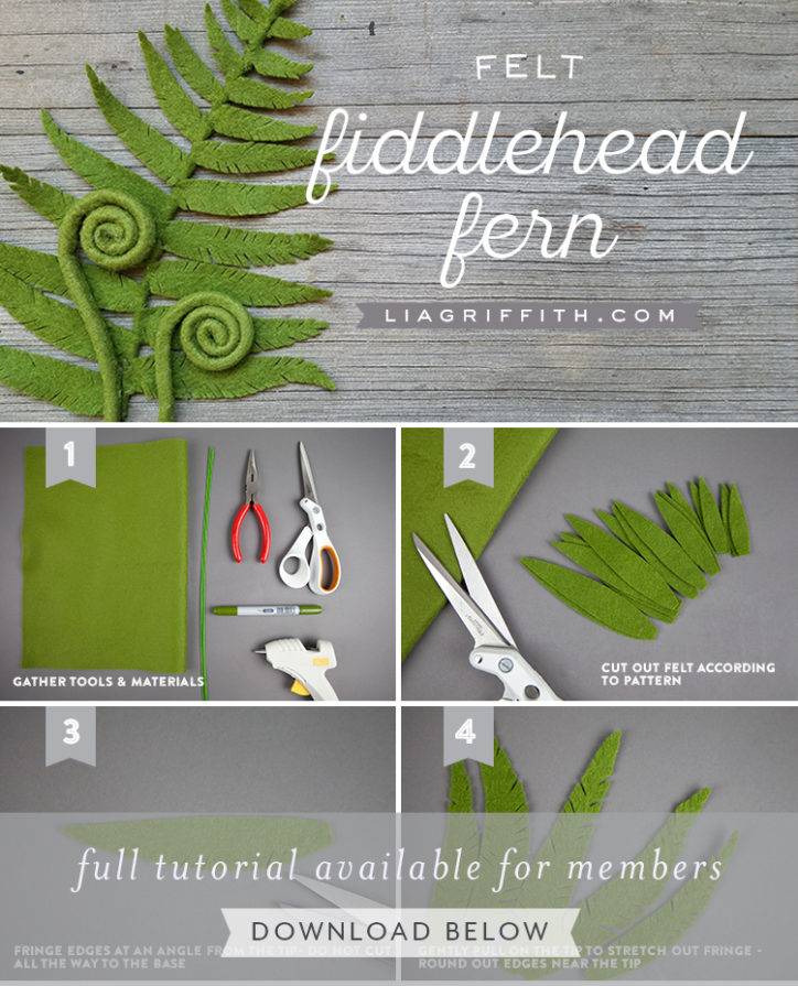 Felt Ferns and Fiddle Heads - Lia Griffith