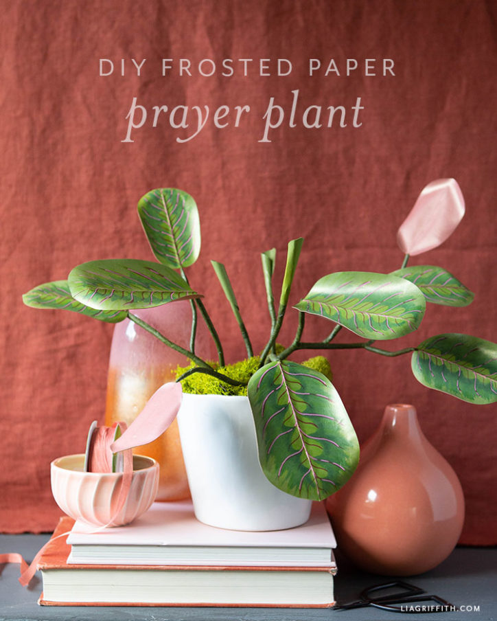 Frosted Paper Prayer Plant DIY Tutorial - Lia Griffith