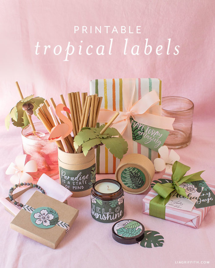 Tropical Stickers - Lia Griffith