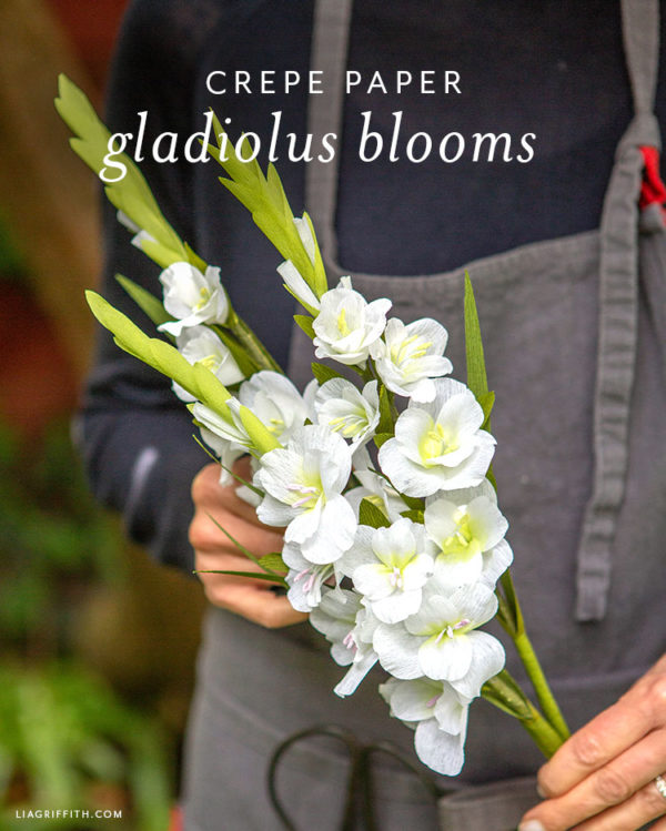 Crepe Paper Gladiolus - Member Make Workshop - Lia Griffith