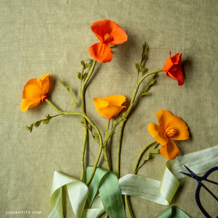 Video Tutorial: Crepe Paper California Poppies - Lia Griffith