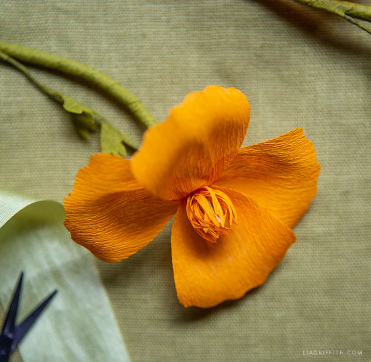 Video Tutorial: Crepe Paper California Poppies - Lia Griffith