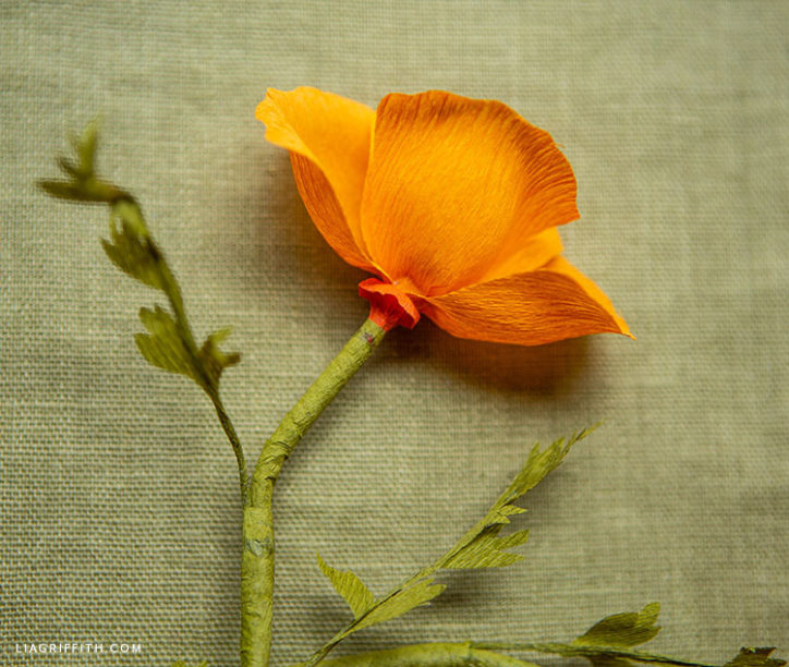 Video Tutorial: Crepe Paper California Poppies - Lia Griffith