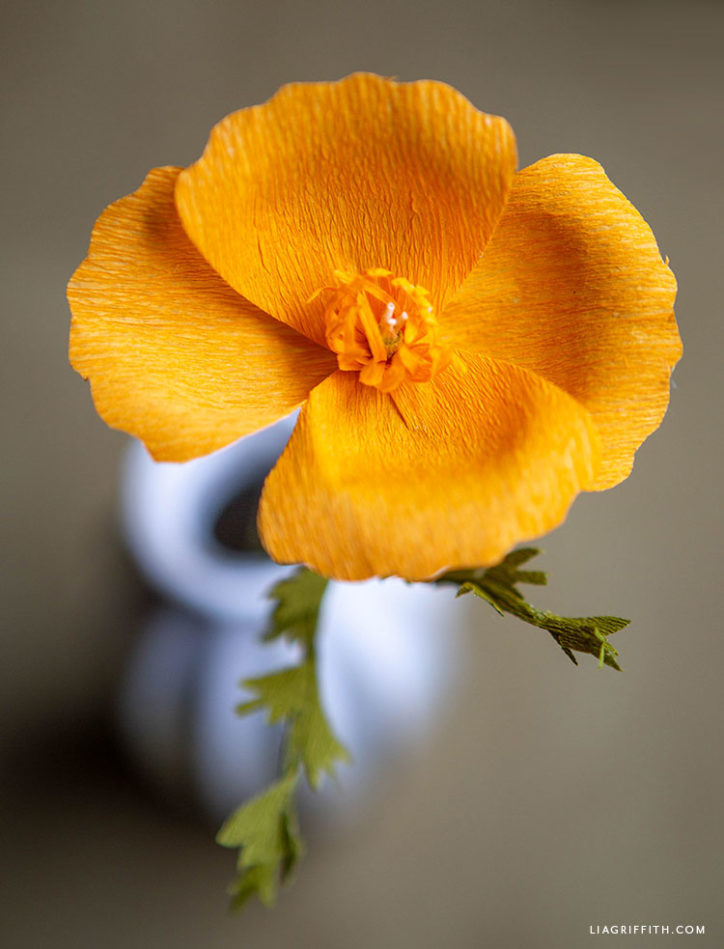Video Tutorial: Crepe Paper California Poppies - Lia Griffith
