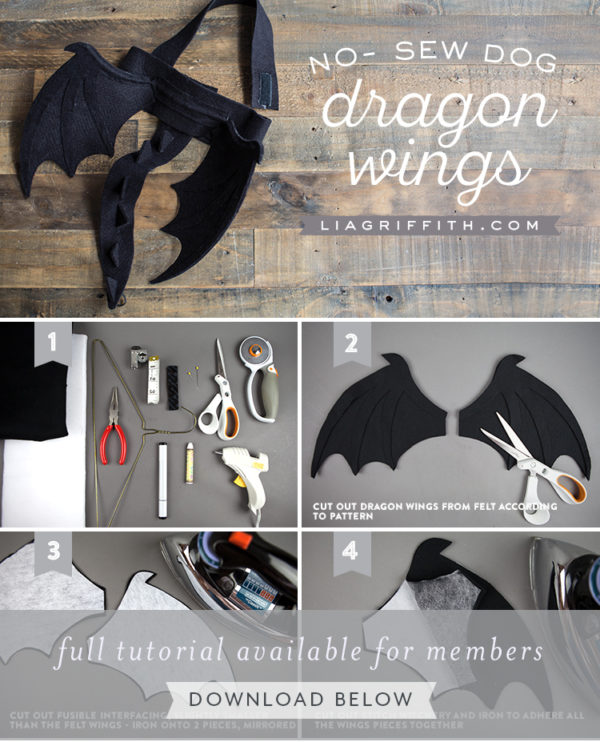 Easy DIY Dragon Costume for Your Dog - Lia Griffith